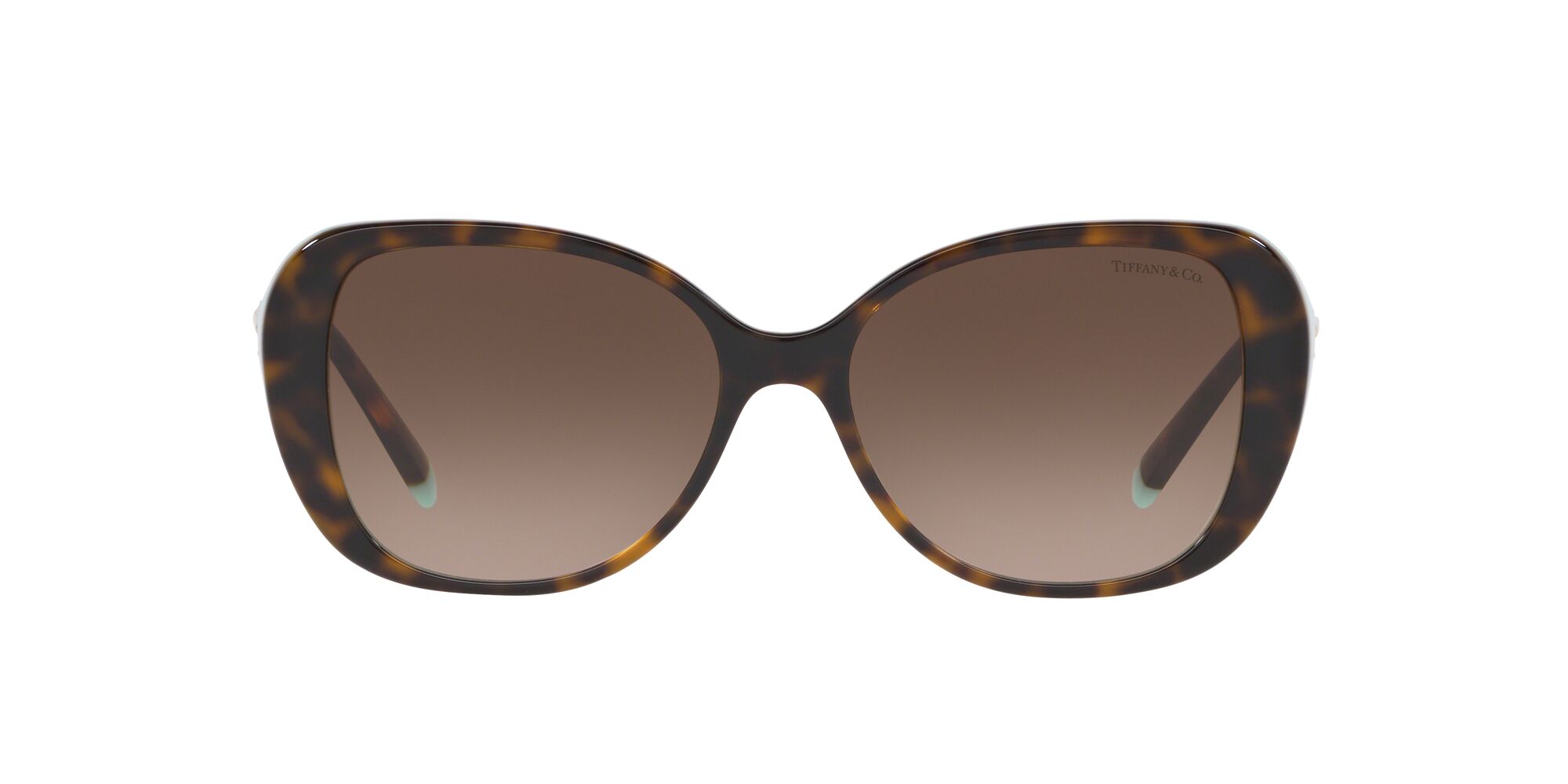 Tf4156f Havana On Tiffany Blue / Brown Gradient Alt Fit