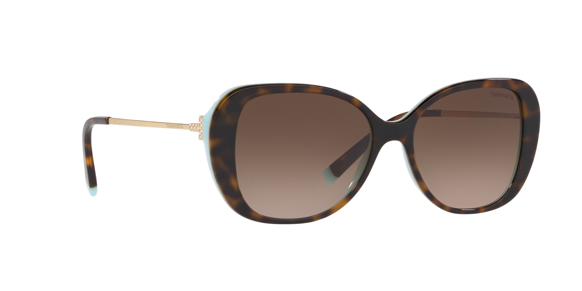 Tf4156f Havana On Tiffany Blue / Brown Gradient Alt Fit