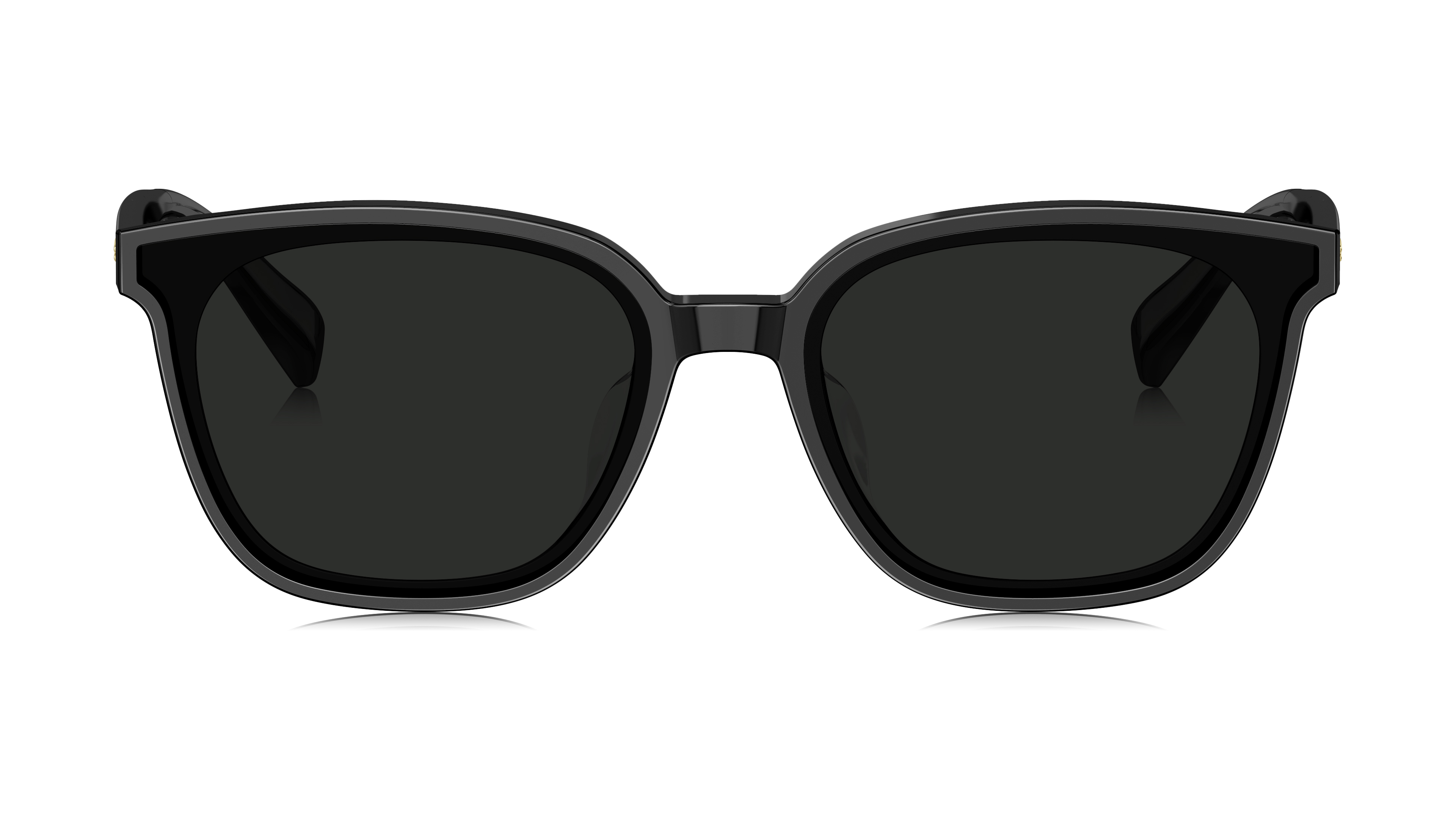 Bl3101 Black / Grey Pol